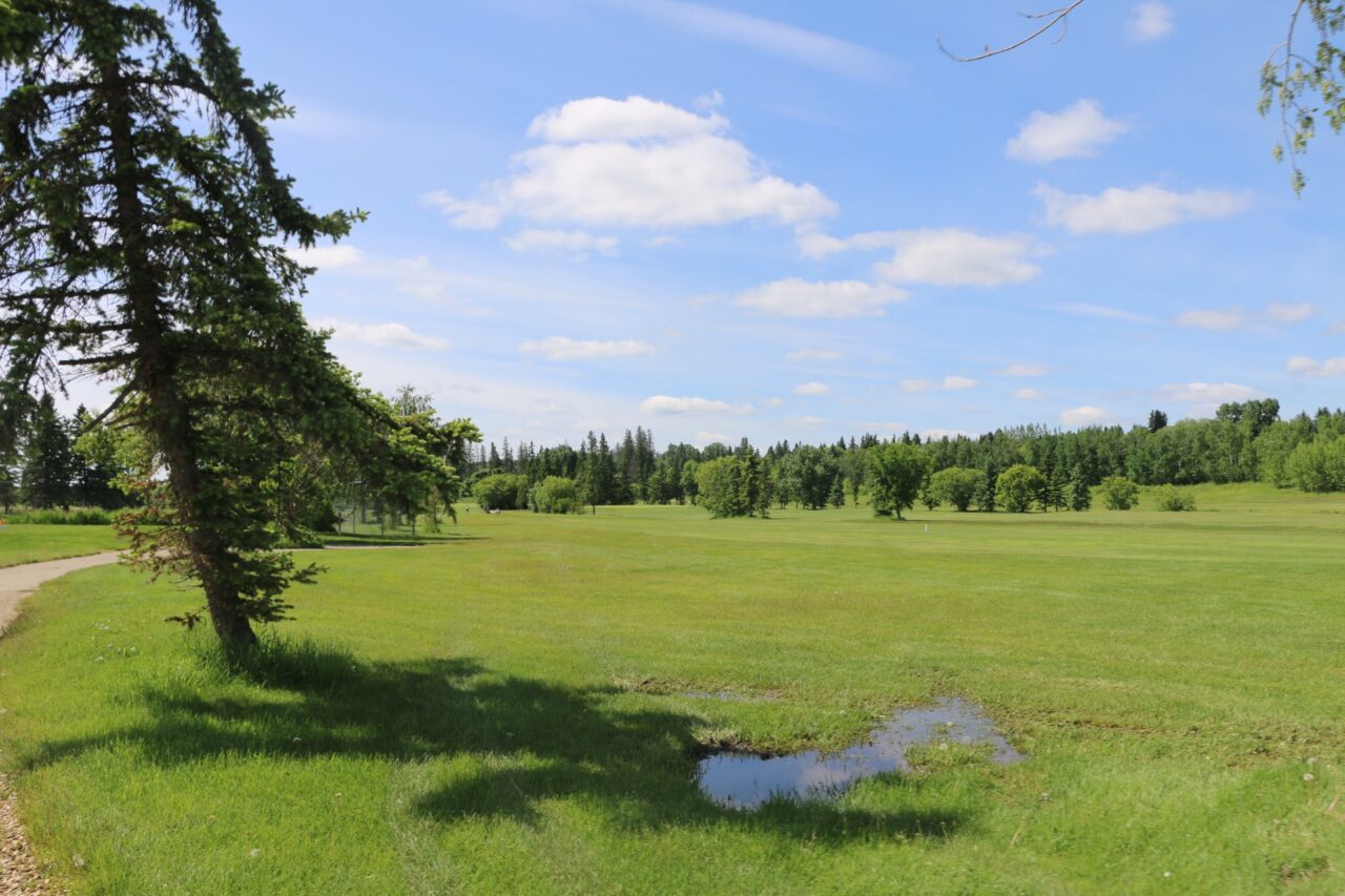 Meadowview Golf Club | Golf Alberta, Canada